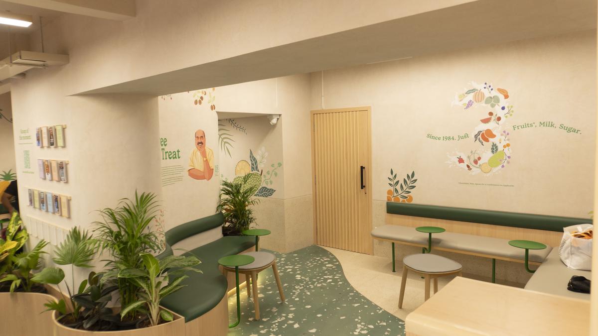 Mumbai’s iconic Naturals Ice Cream launches in Chennai on KNK road - The Hindu